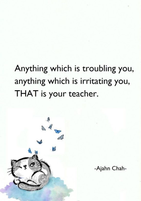 Take notes. · MoveMe Quotes